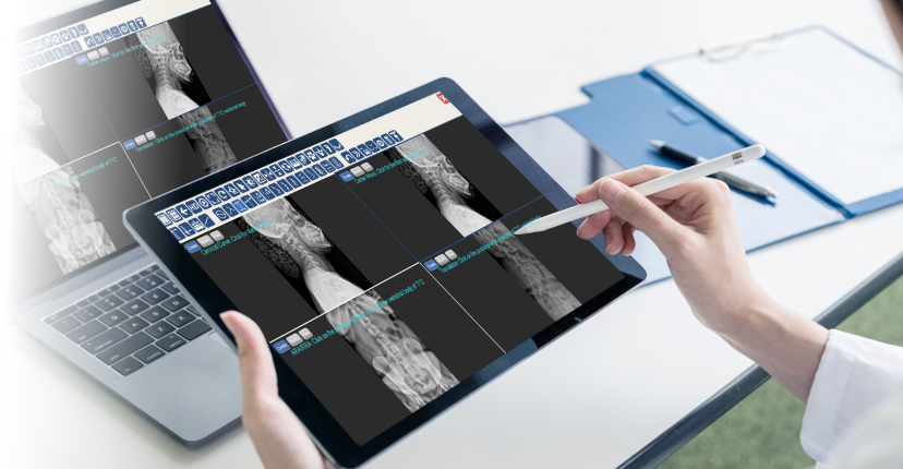 Home [www.jpihealthcare.com]